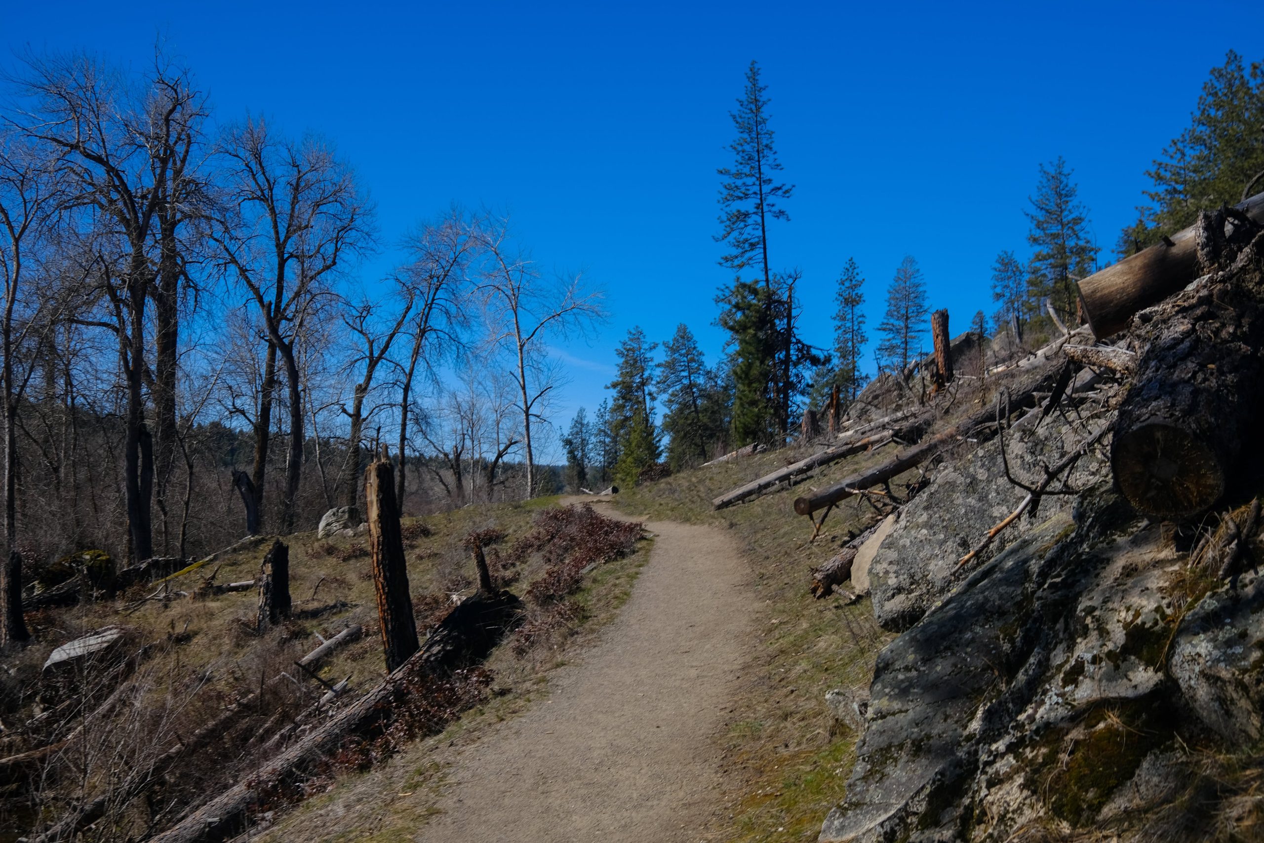 Knothead Valley Loop Trail Hiking Guide